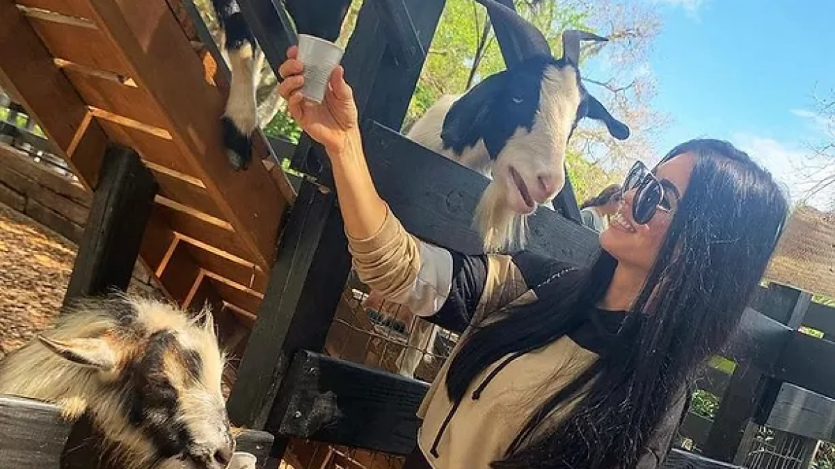 Summer Splash at DK Farms and Gardens | Visit St Petersburg Clearwater Florida